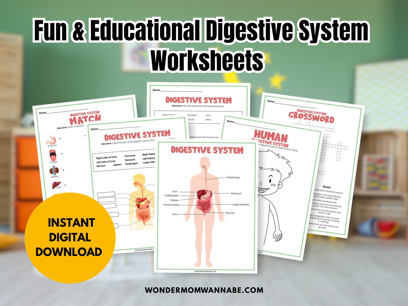 Digestive System Activity Set – Printable Digestive Diagram, Word Sear ...
