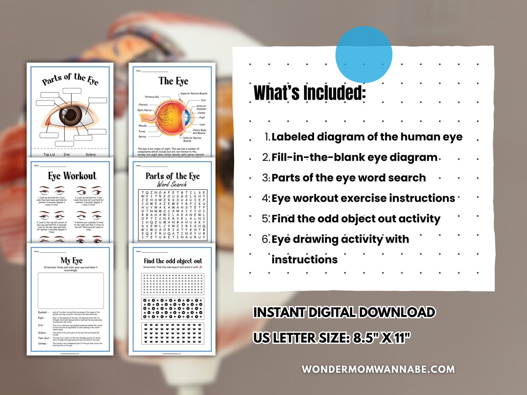 Human Eye Activity Set – Printable Eye Diagram, Word Search, Eye ...