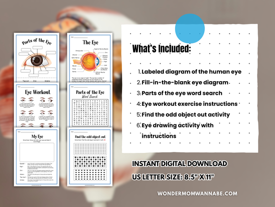Human Eye Activity Set – Printable Eye Diagram, Word Search, Eye ...