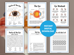 Human Eye Activity Set – Printable Eye Diagram, Word Search, Eye ...
