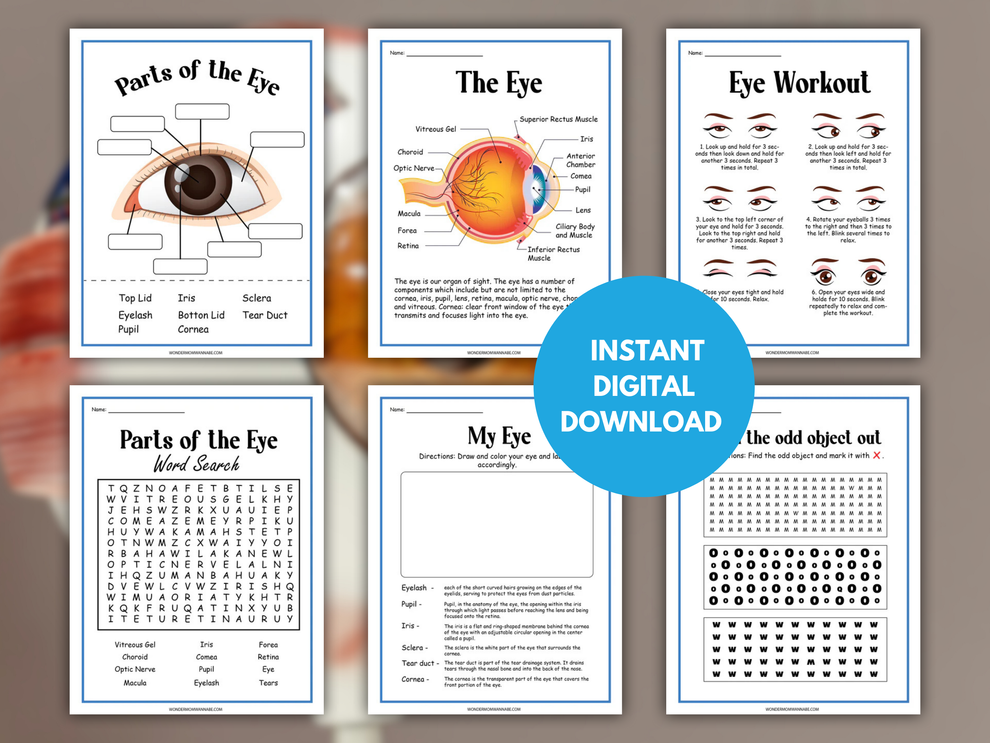 Human Eye Activity Set – Printable Eye Diagram, Word Search, Eye ...
