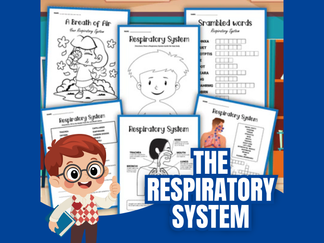 Respiratory System Activity Set – Printable Respiratory Diagram, Word ...