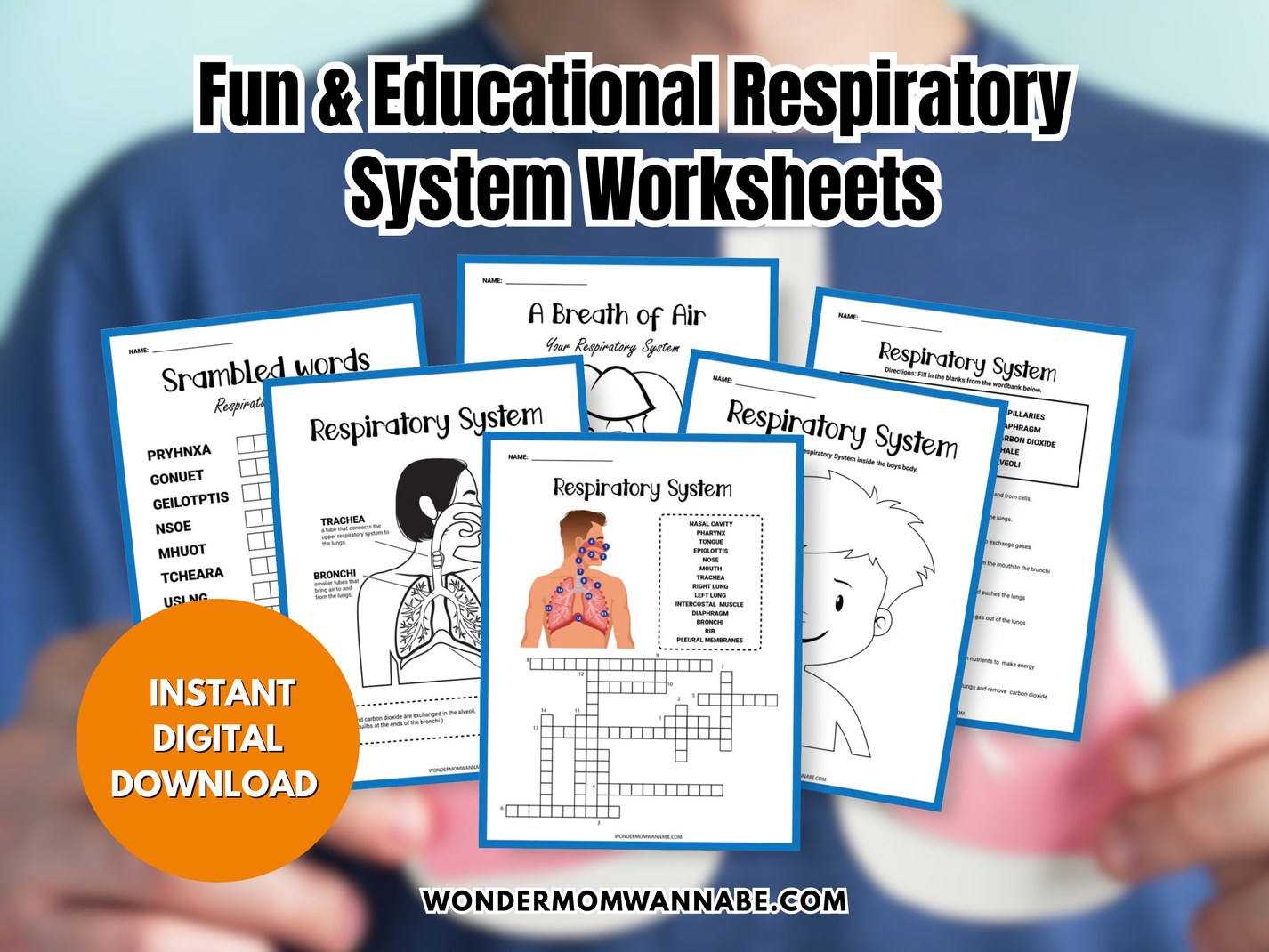 Respiratory System Activity Set – Printable Respiratory Diagram, Word ...
