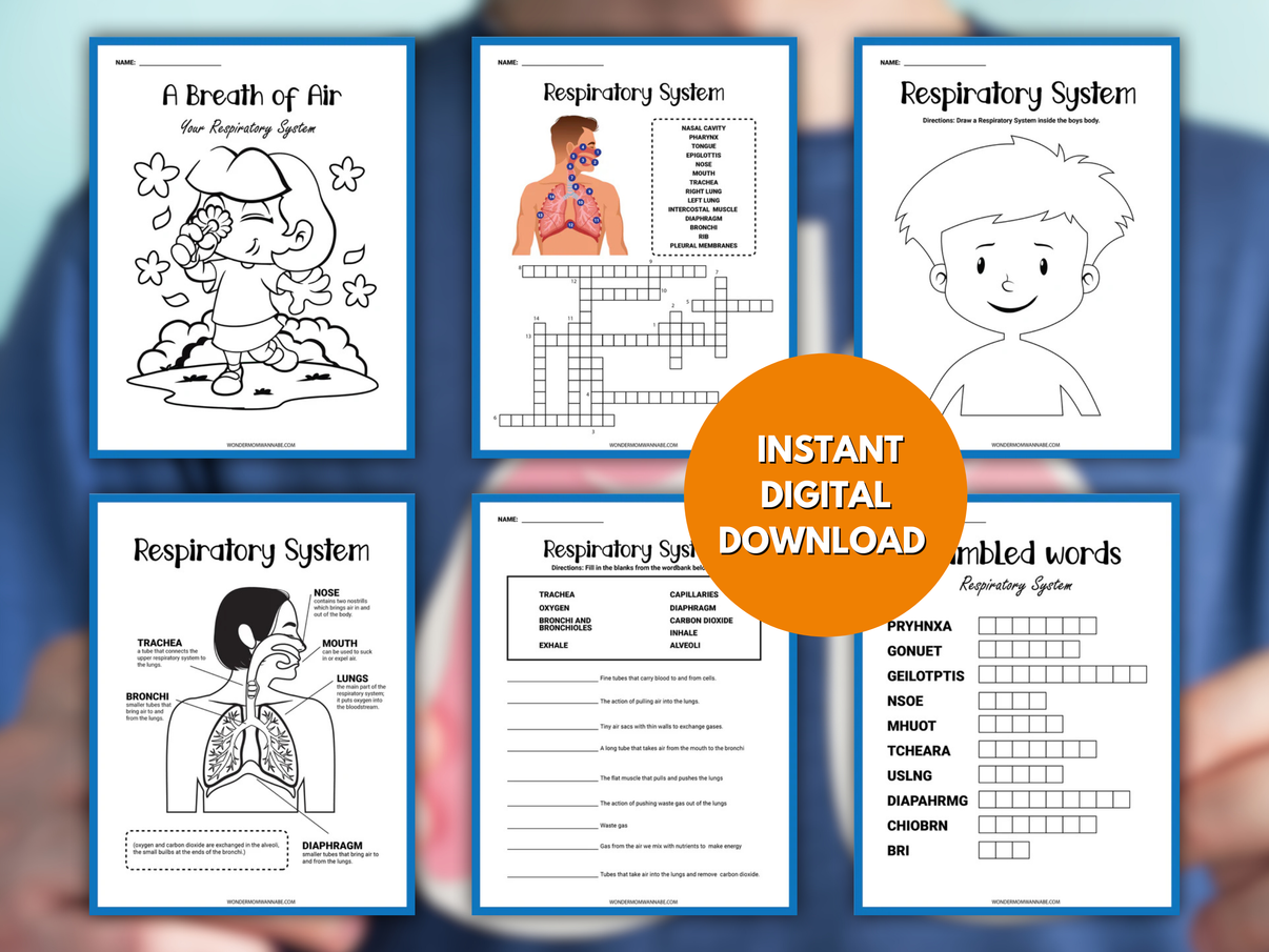 Respiratory System Activity Set – Printable Respiratory Diagram, Word ...