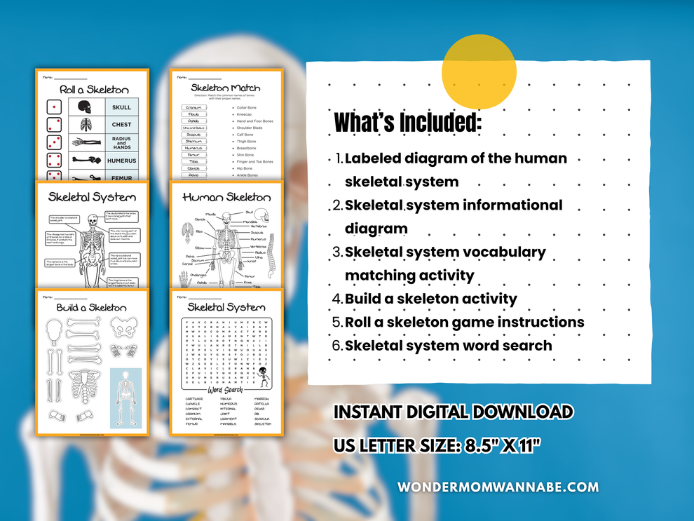 Skeletal System Activity Set – Printable Skeleton Diagram, Word Search ...