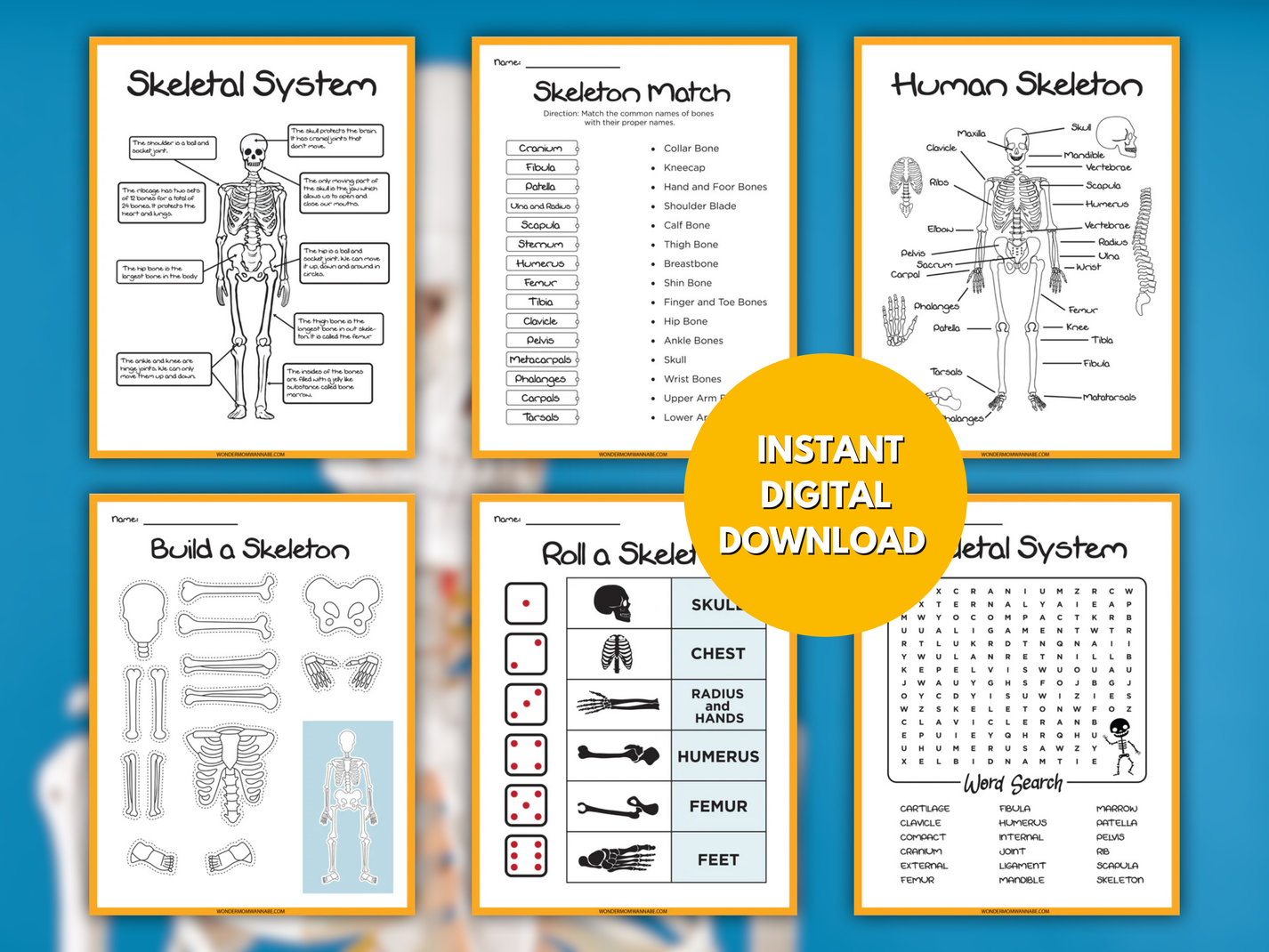 Skeletal System Activity Set – Printable Skeleton Diagram, Word Search ...