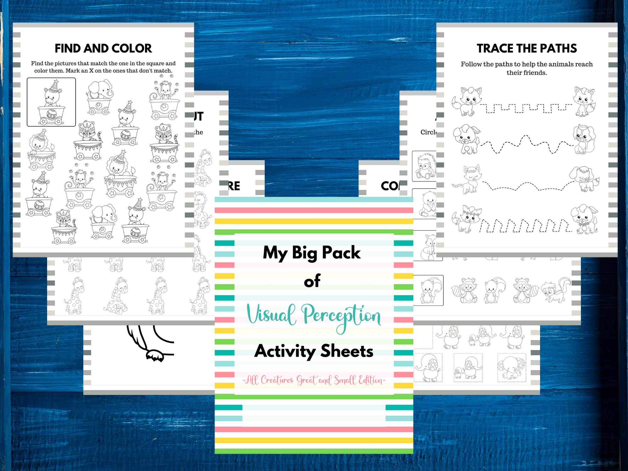 Visual Perception Activity Set – Wondermom Shop