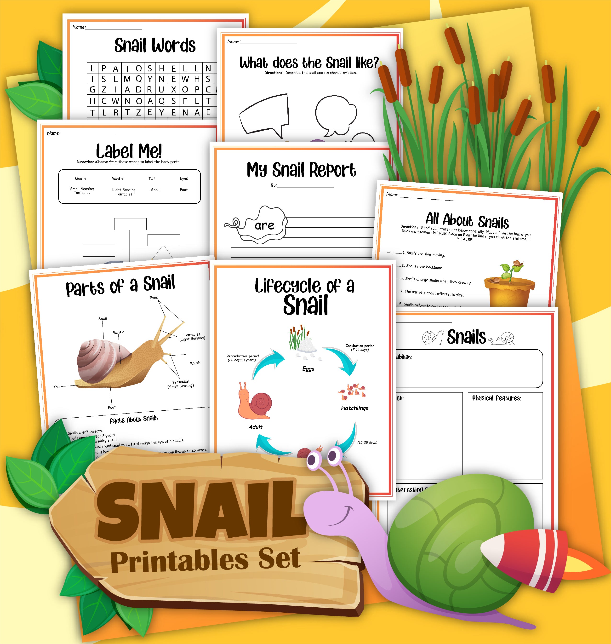 Snails Activity Set – Wondermom Shop