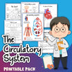 Circulatory System Activity Set – Wondermom Shop
